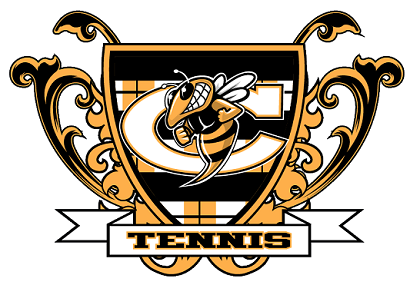 Donate to Cook High School Tennis Brick Fundraising Campaign