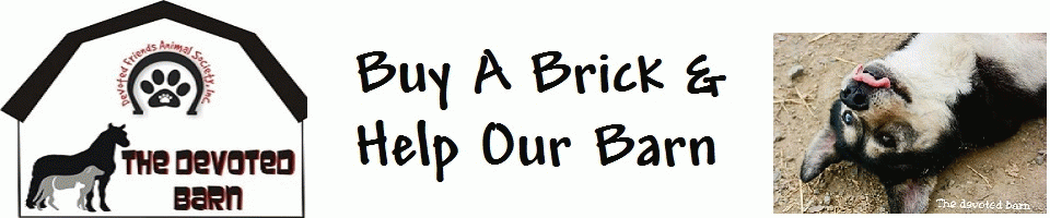 Donate to The Devoted Barn Brick Fundraising Campaign